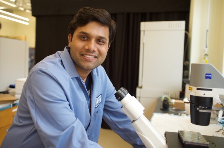 Sun Lab Receives Award to Support Research in Polycystic Kidney Disease ...