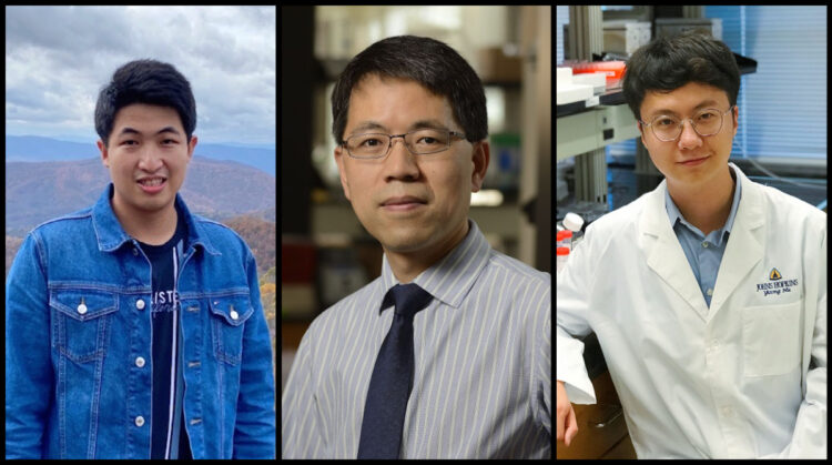 Researchers Partner with Industry to Create Better Gene Therapy Tools ...