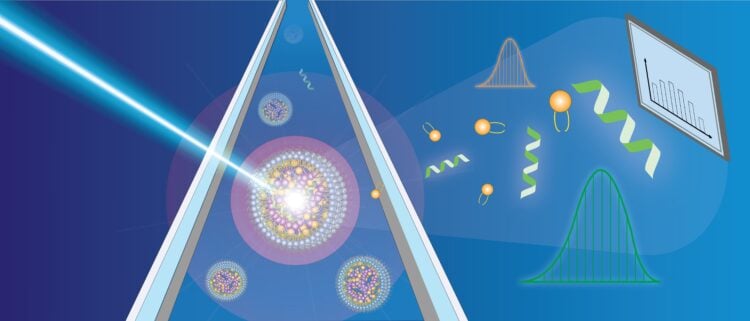 Molecular Detection Platform Provides New Insights into Gene Medicine ...